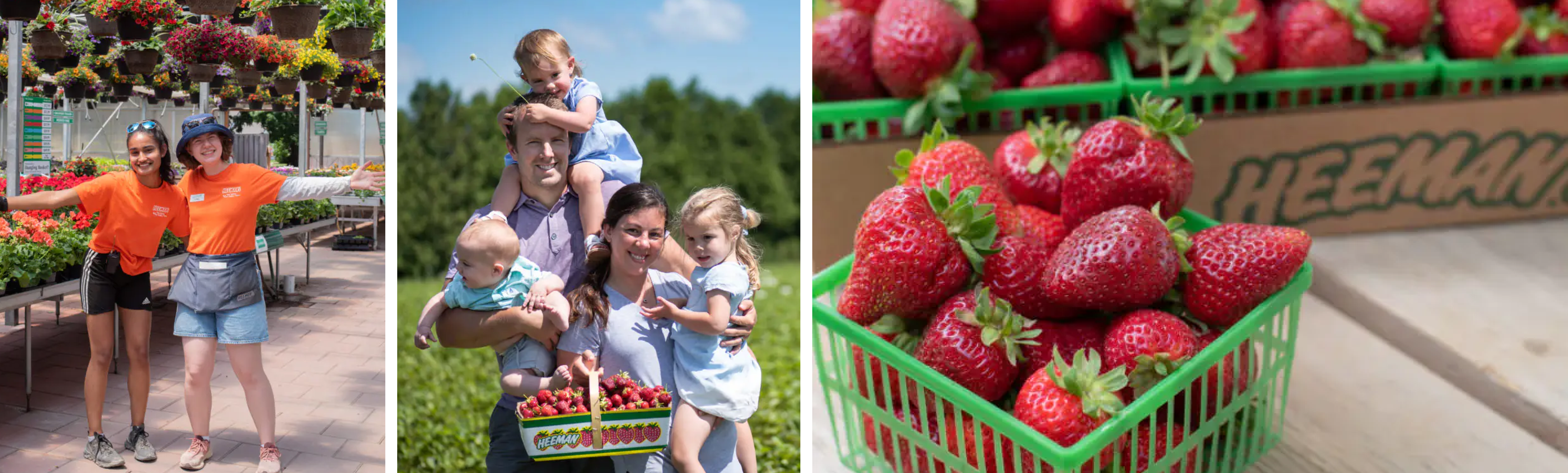 tbk Case Study | Growing Heeman’s Business Potential